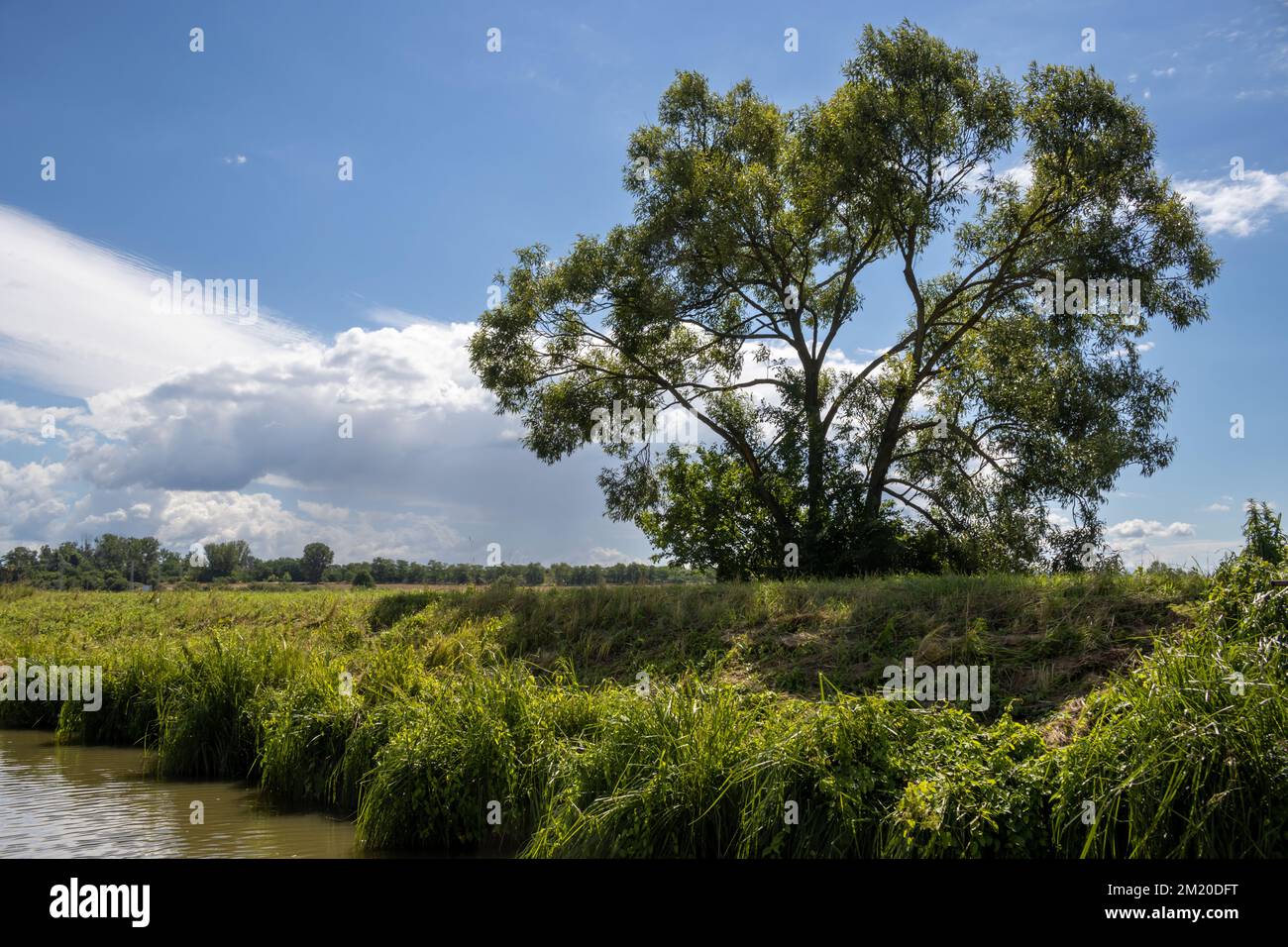 Canal built between Morava part of Czech and Slovakia by Bata ...