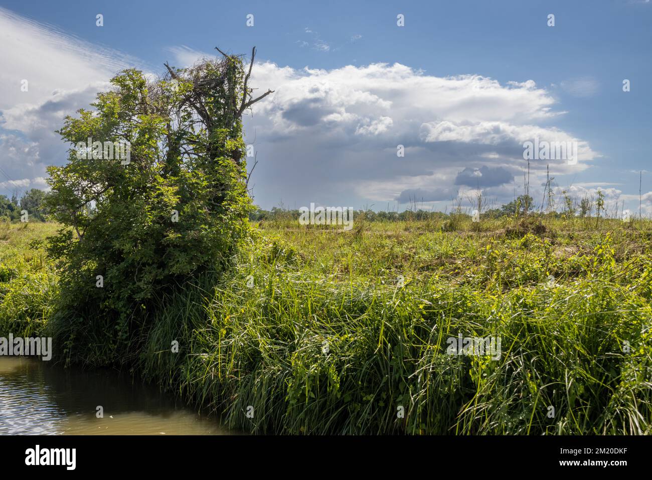 Canal built between Morava part of Czech and Slovakia by Bata ...
