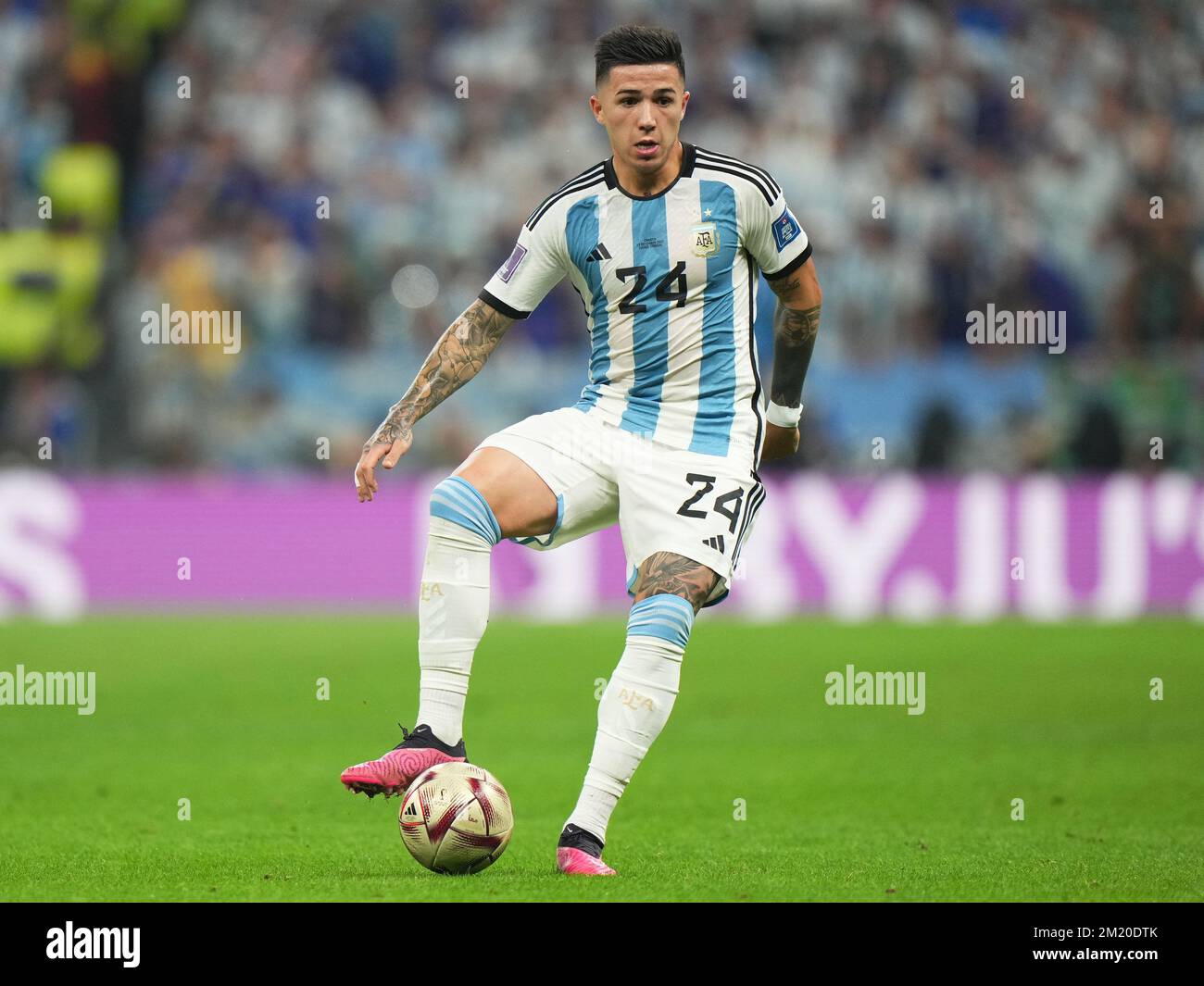 Lusail, Qatar. Dec 13, 2022, Enzo Fernandez of Argentina during the ...