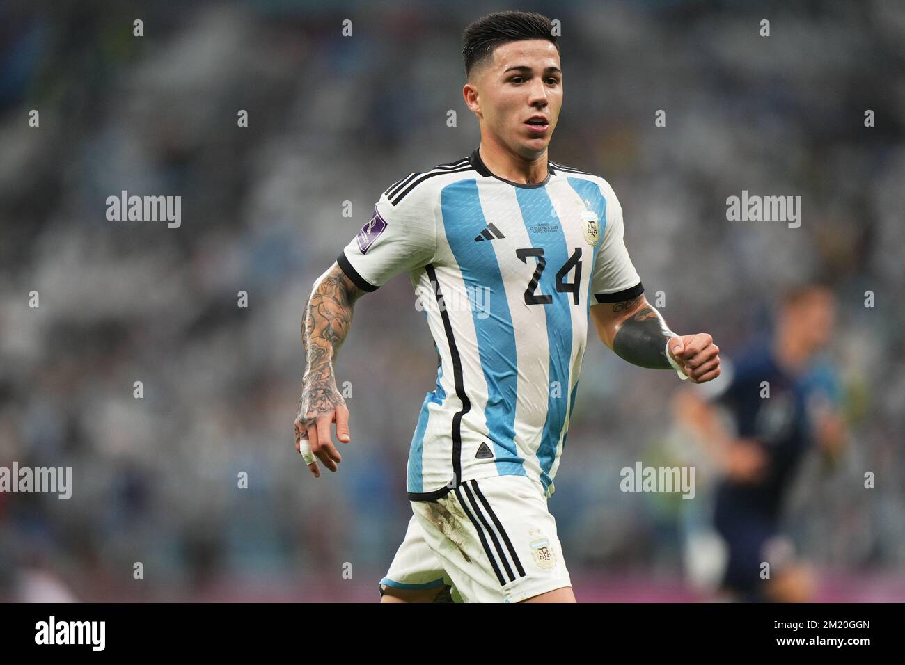 Lusail, Qatar. Dec 13, 2022, Enzo Fernandez of Argentina during the ...