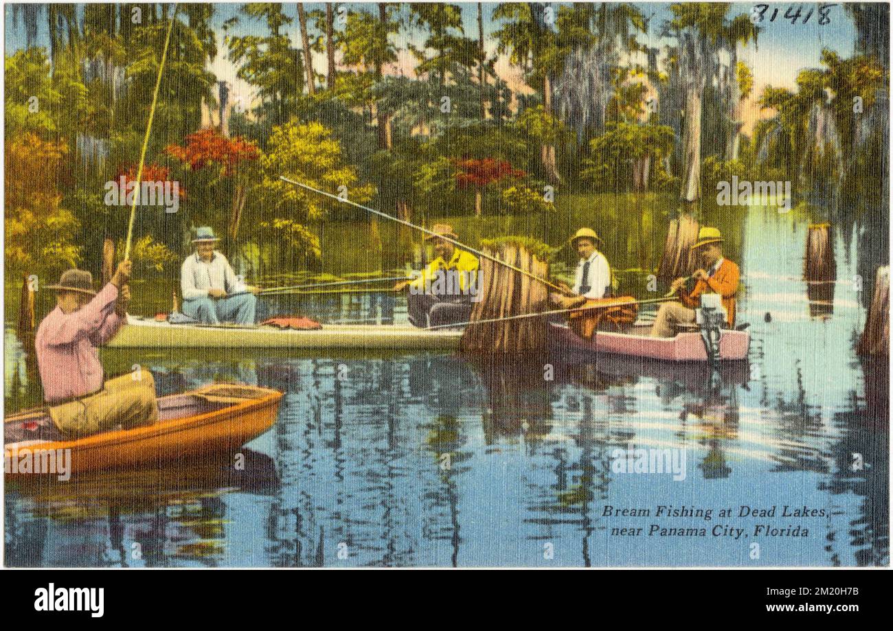 Bream fishing at Dead Lakes- near Panama City, Florida , Tichnor ...