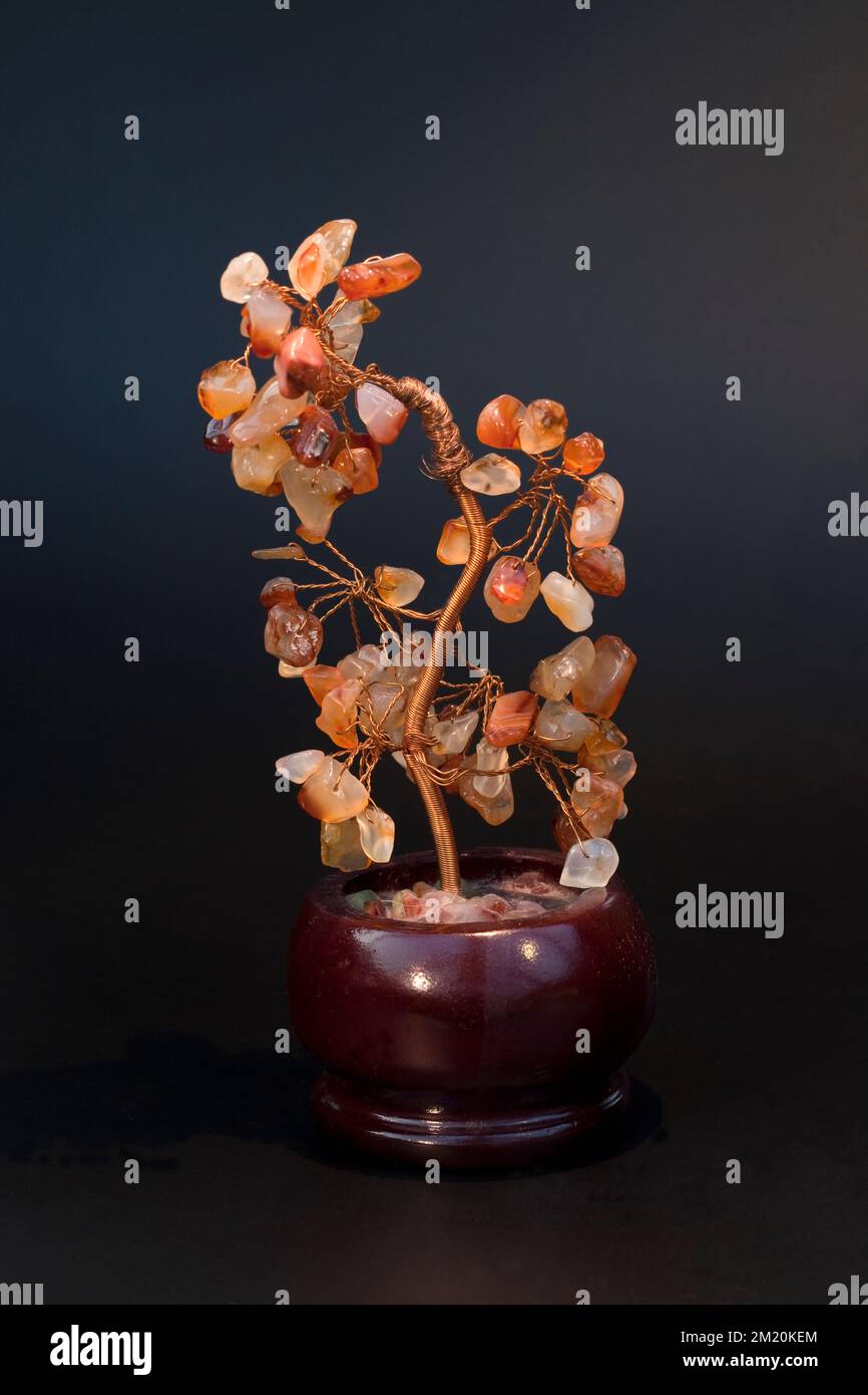 Carnelian tree hi-res stock photography and images - Alamy
