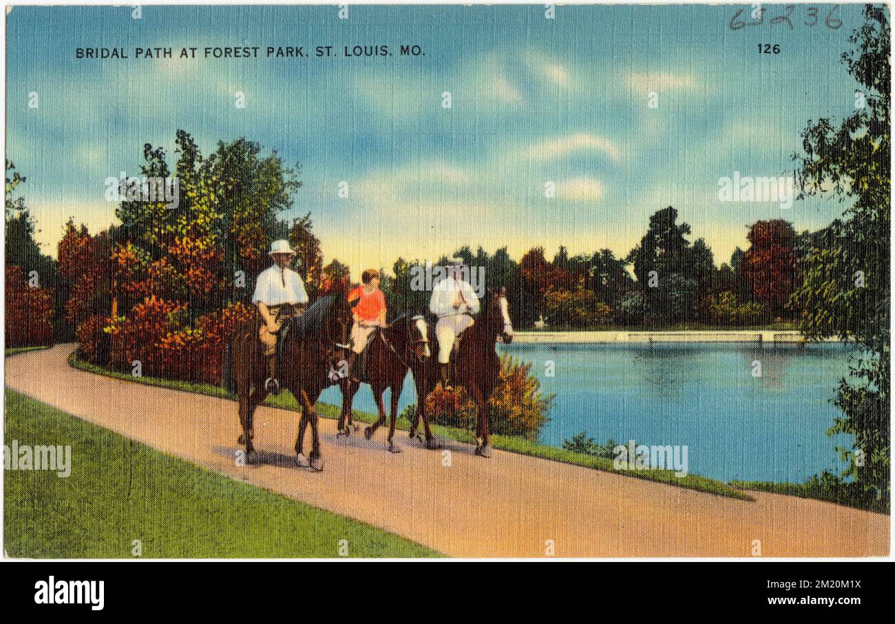 Bridal Path at Forest Park, St. Louis, Mo. , Parks, Tichnor Brothers ...