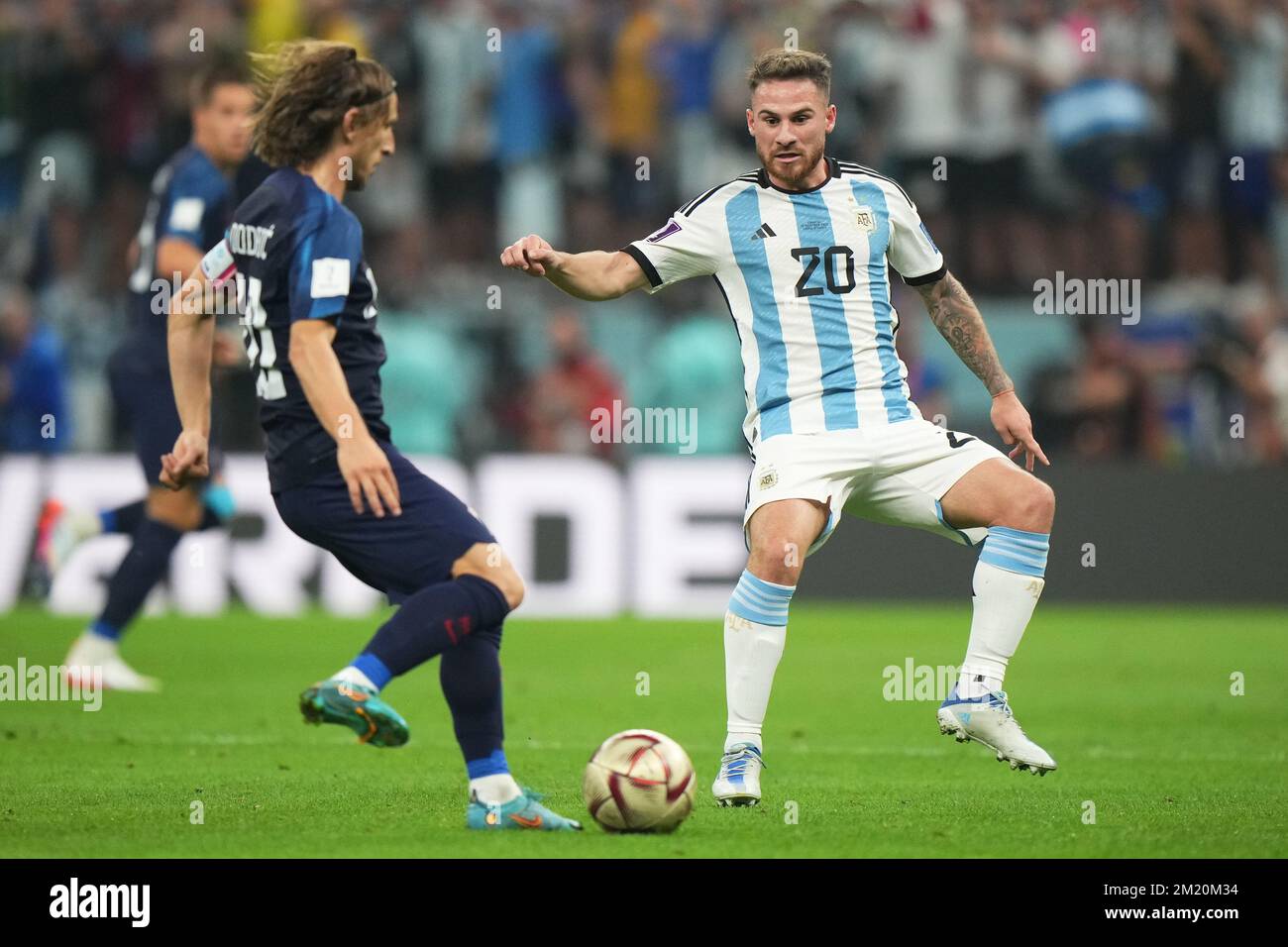 Lusail, Qatar. 13th Dec, 2022. Alexis Mac Allister of Argentina during ...