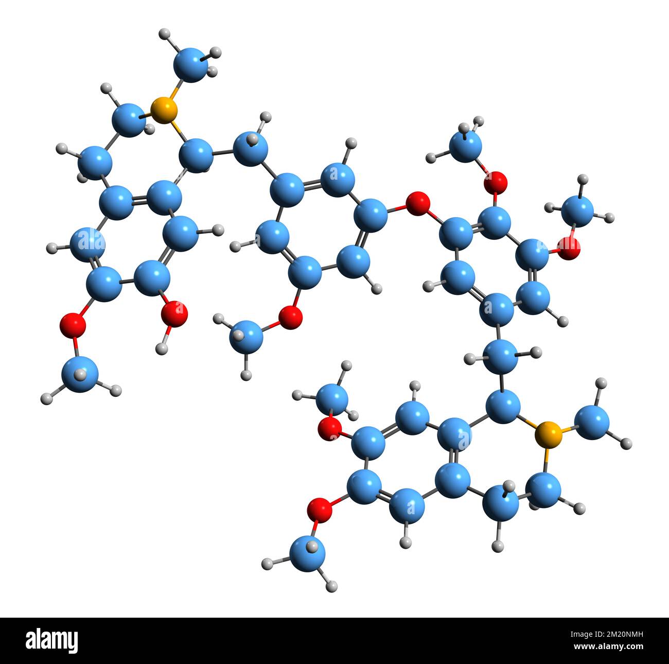3D image of Fetidine skeletal formula - molecular chemical structure of ...