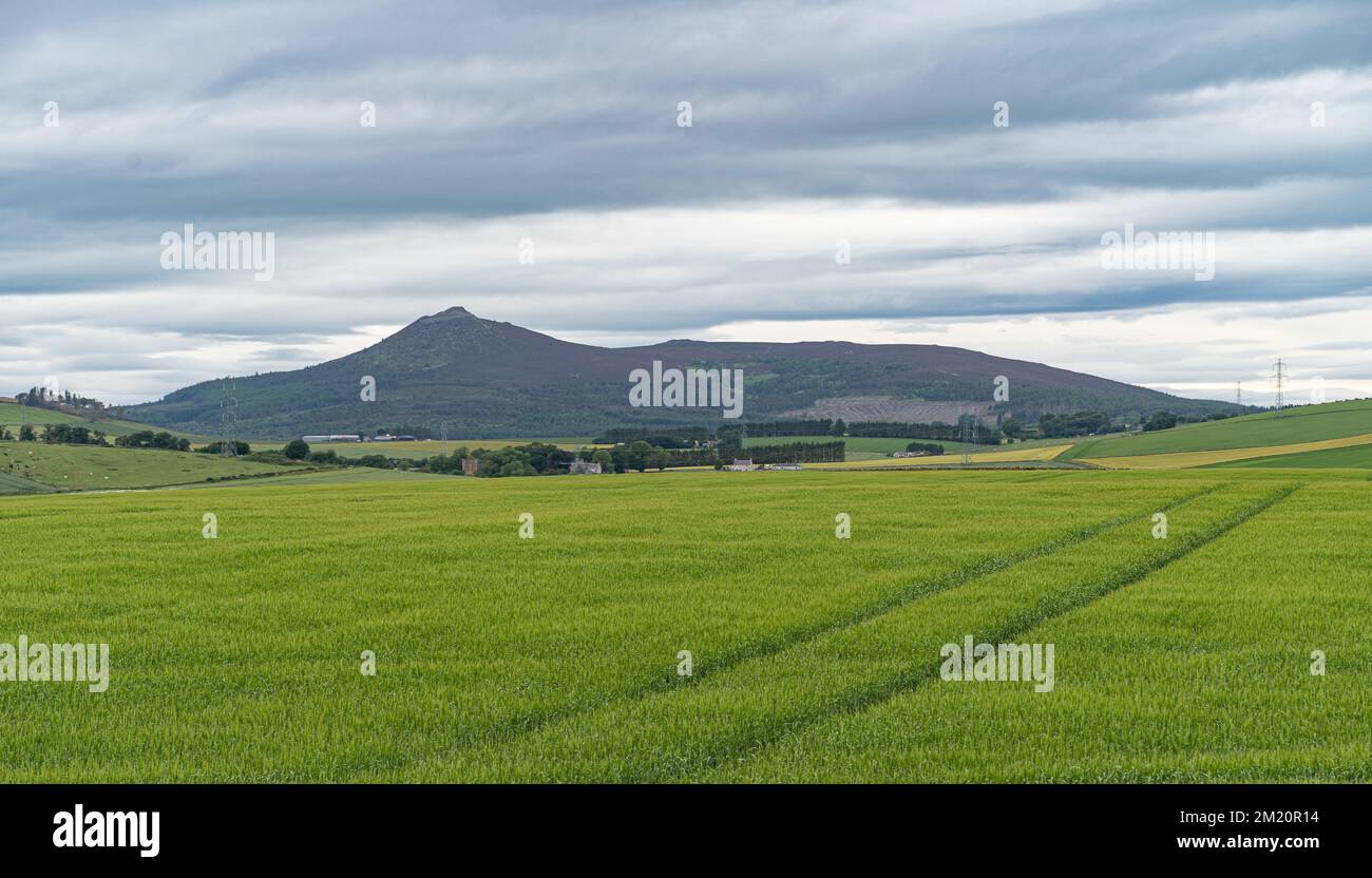 Bennachie hi-res stock photography and images - Alamy