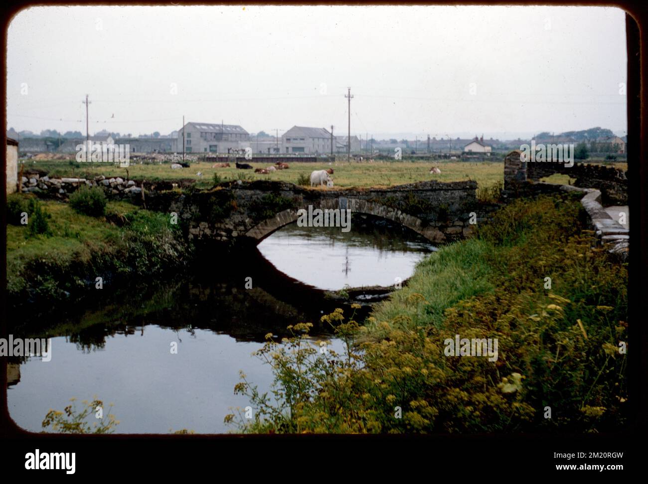 Bridge to farm, Castleisland, Ireland , Bridges, Farms. Edmund L ...
