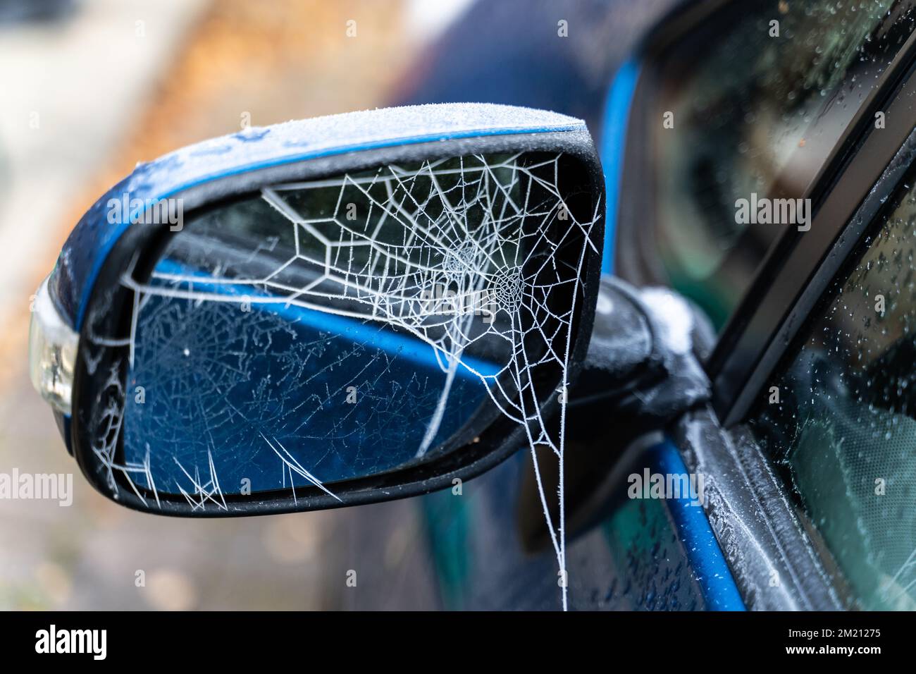frozen spiders web Stock Photo - Alamy