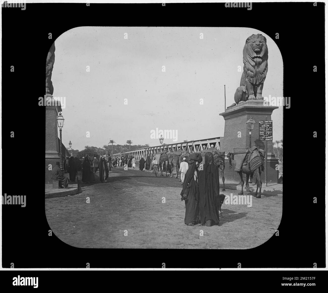 Bronze lions of Qasr El Nil Bridge, Cairo , Bridges, Sculpture, Lions ...