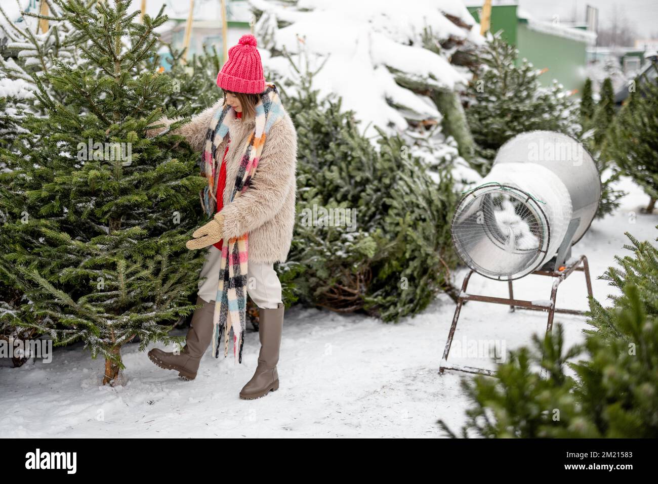 Woman market christmas trees hi-res stock photography and images - Alamy