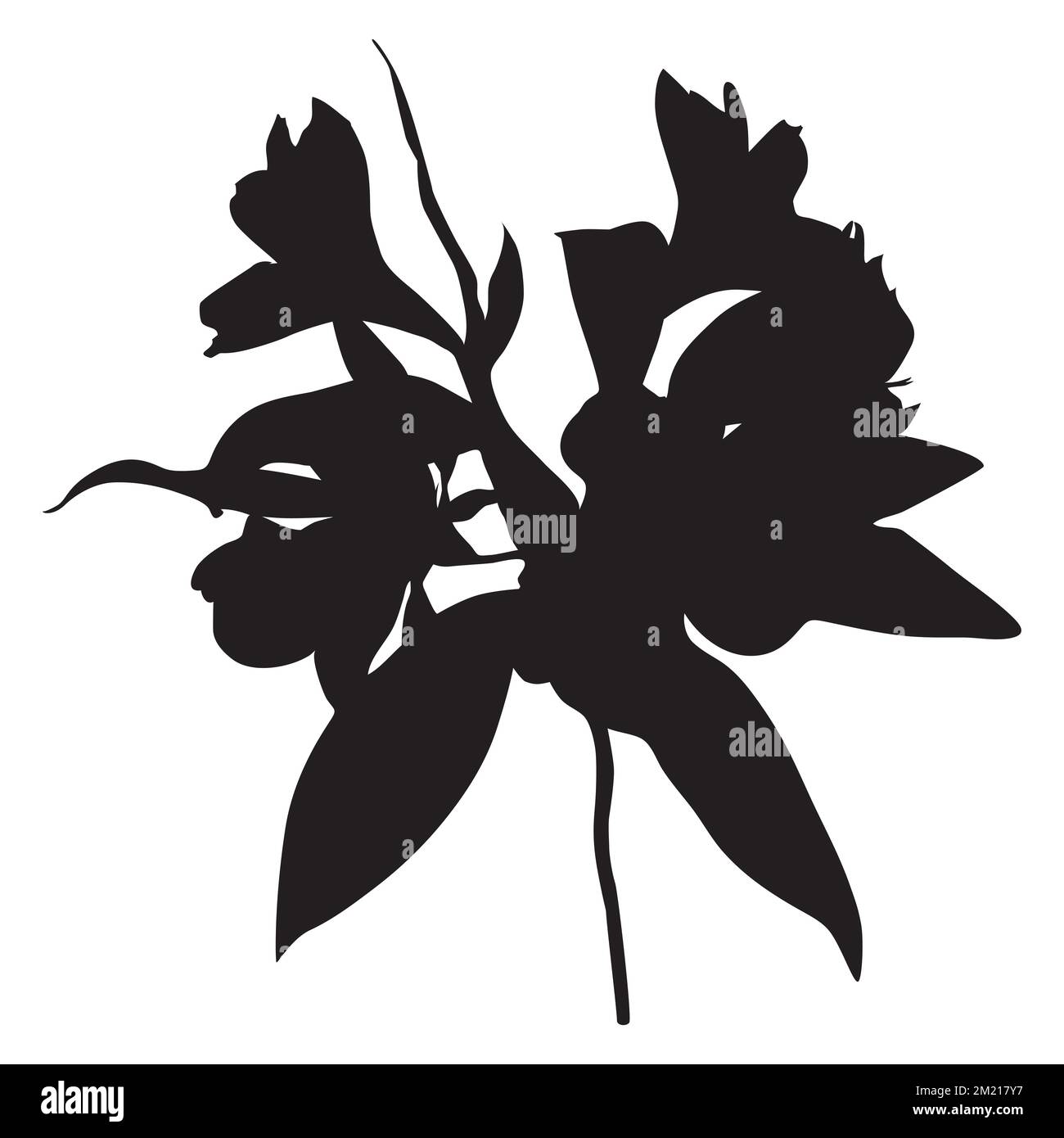 Alstroemeria black silhouette. Peruvian lily tropical flower vector ...