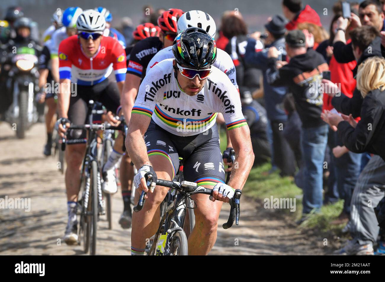 Slovakian world champion Peter Sagan of Tinkoff pictured in action ...