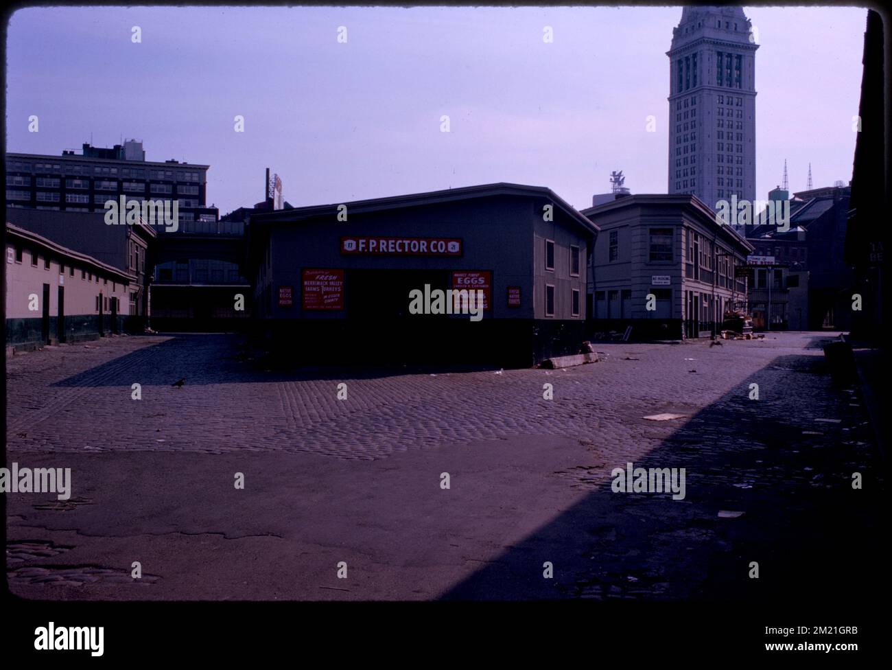 Building with sign reading 'F.P. Rector Co,' Boston , Merchants, Meat ...