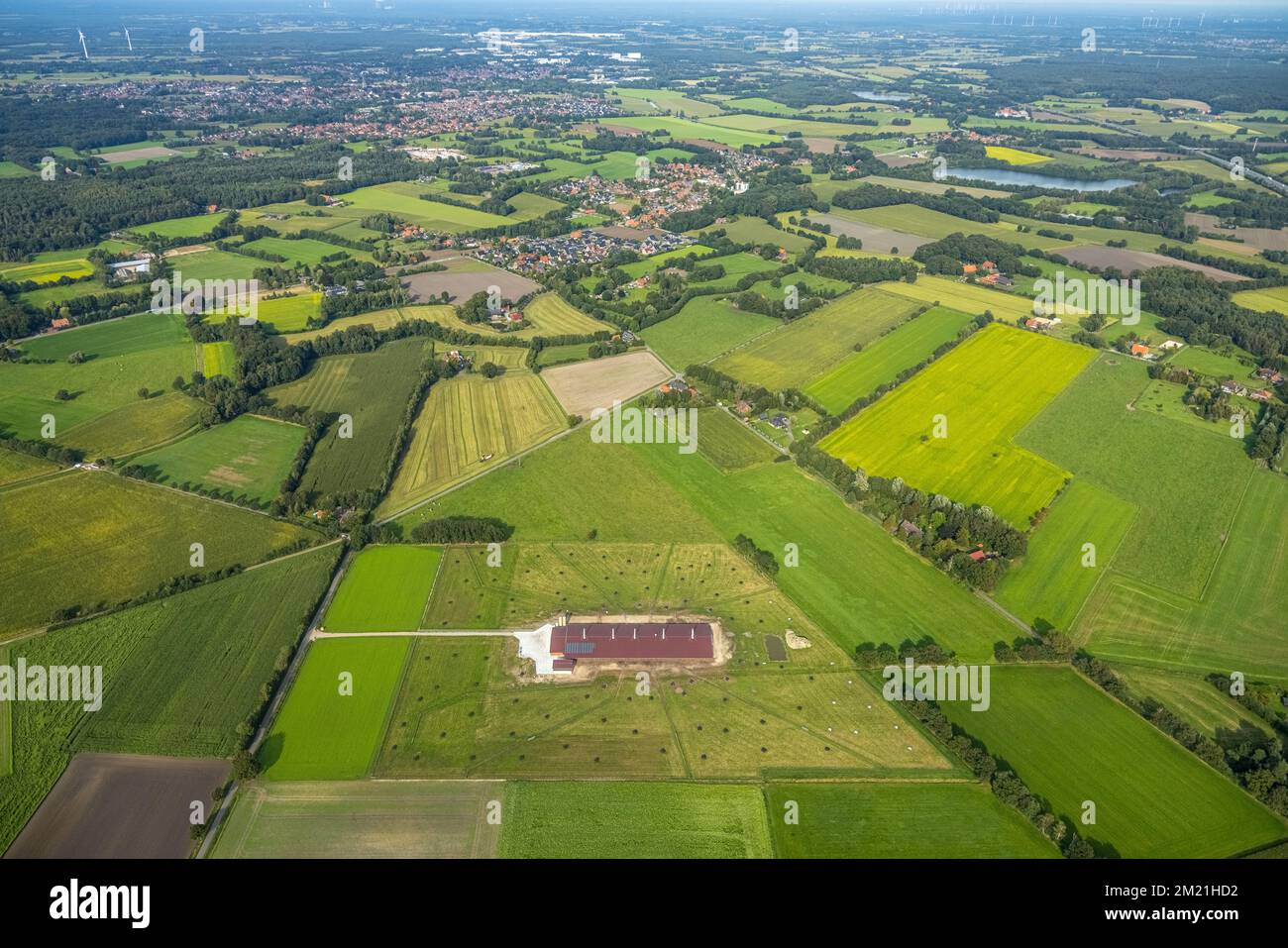 Aerial view, agricultural farm surrounded by meadows and fields with ...