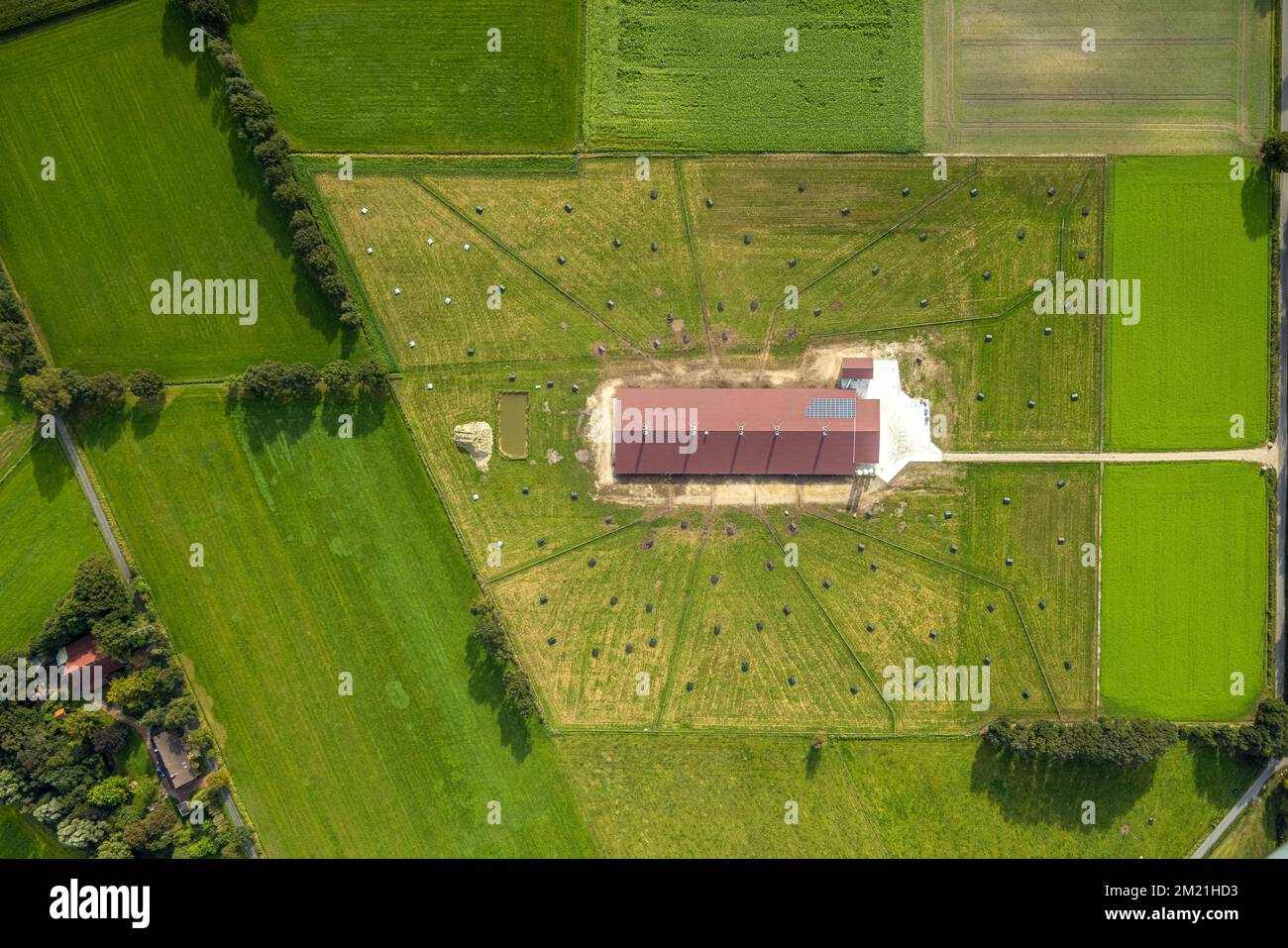 Aerial view, agricultural farm surrounded by meadows and fields with ...