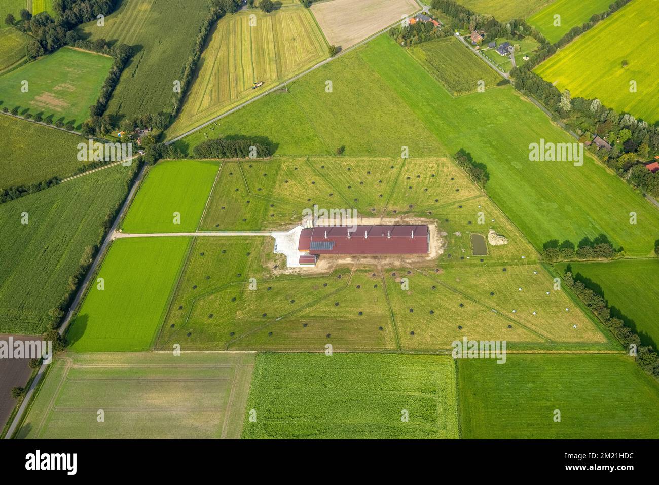 Aerial view, agricultural farm surrounded by meadows and fields with ...