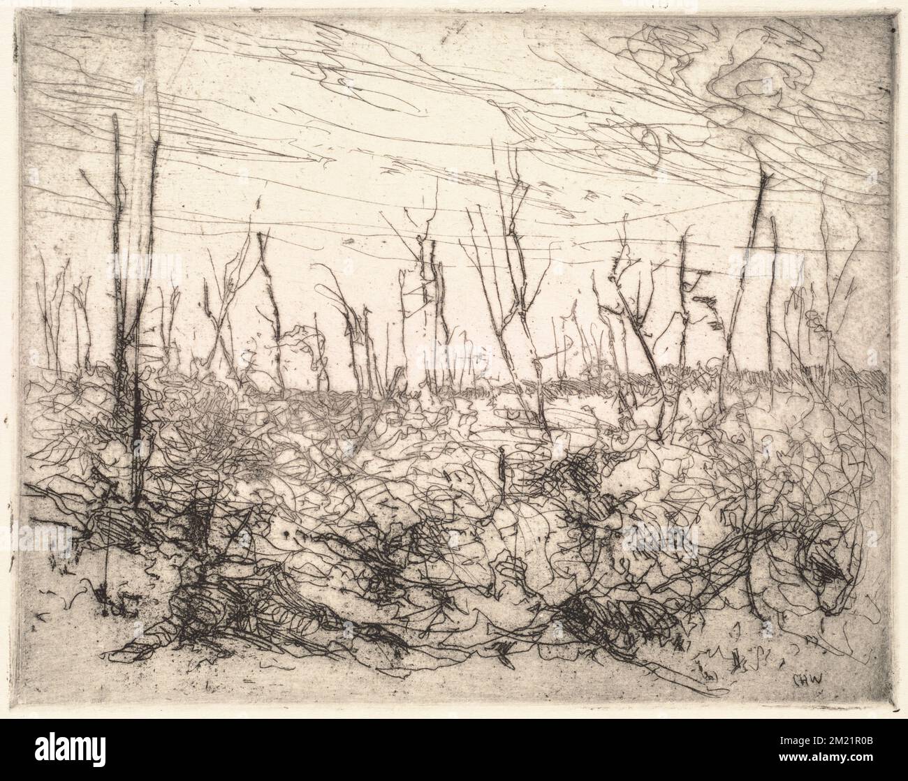 Wildfire forest fire graphic hi-res stock photography and images - Alamy