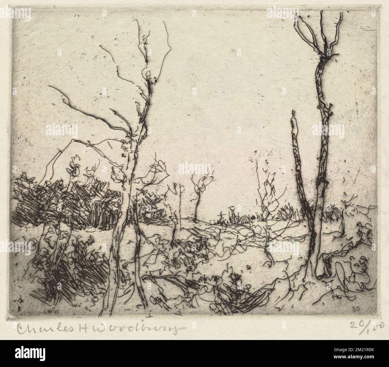 Environmental impact of fires hi-res stock photography and images - Alamy