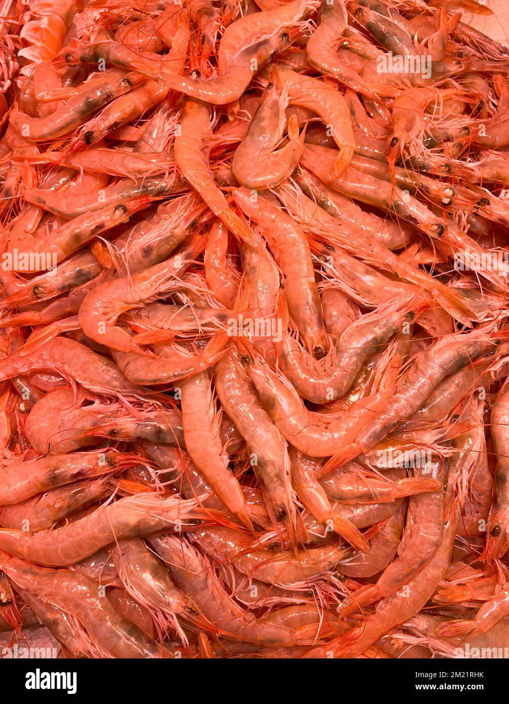 Large portion of raw prawns Spanish taps Stock Photo - Alamy