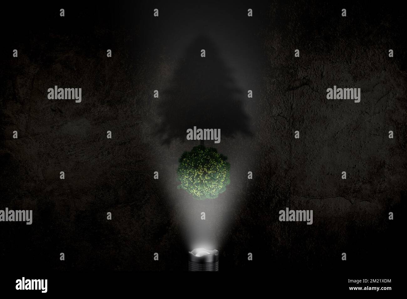Flash light christmas tree shadow Holiday background Stock Photo - Alamy