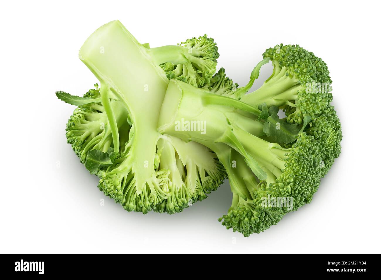 fresh broccoli isolated on white background close-up with full depth of ...