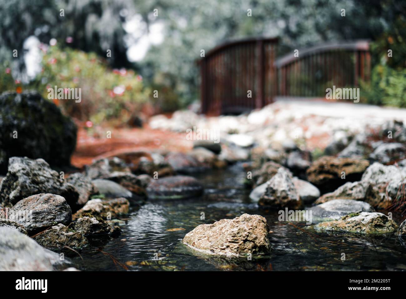 Bridge over a creek in a park Stock Photo - Alamy