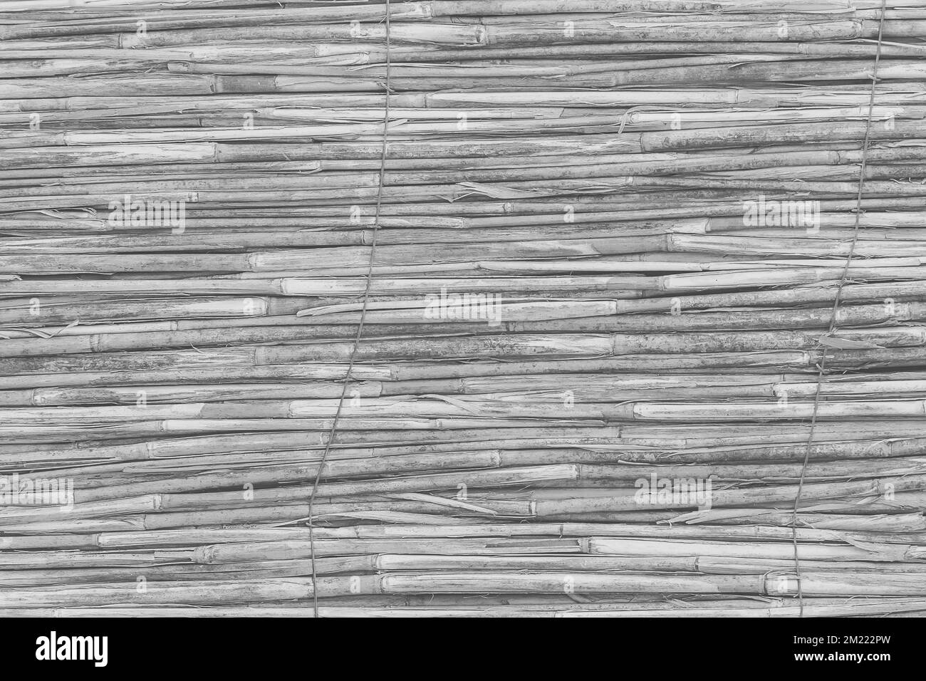 Light grey reed interior pattern bamboo handmade wall wicker texture ...