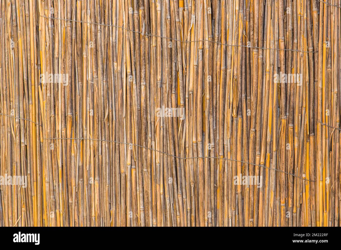 Light yellow reed interior handmade wall texture background Stock Photo ...