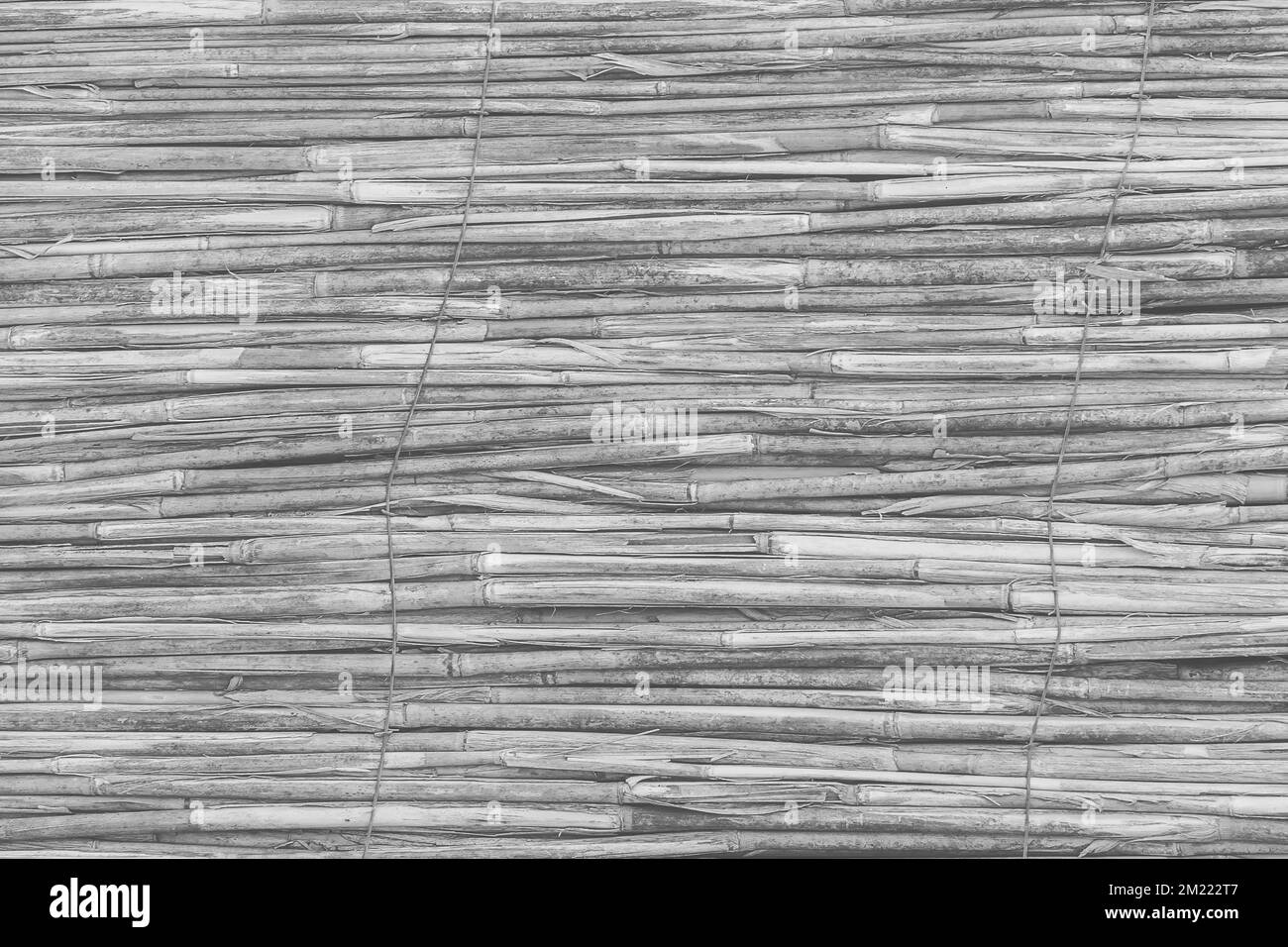 Light grey reed interior pattern bamboo handmade wall wicker texture ...