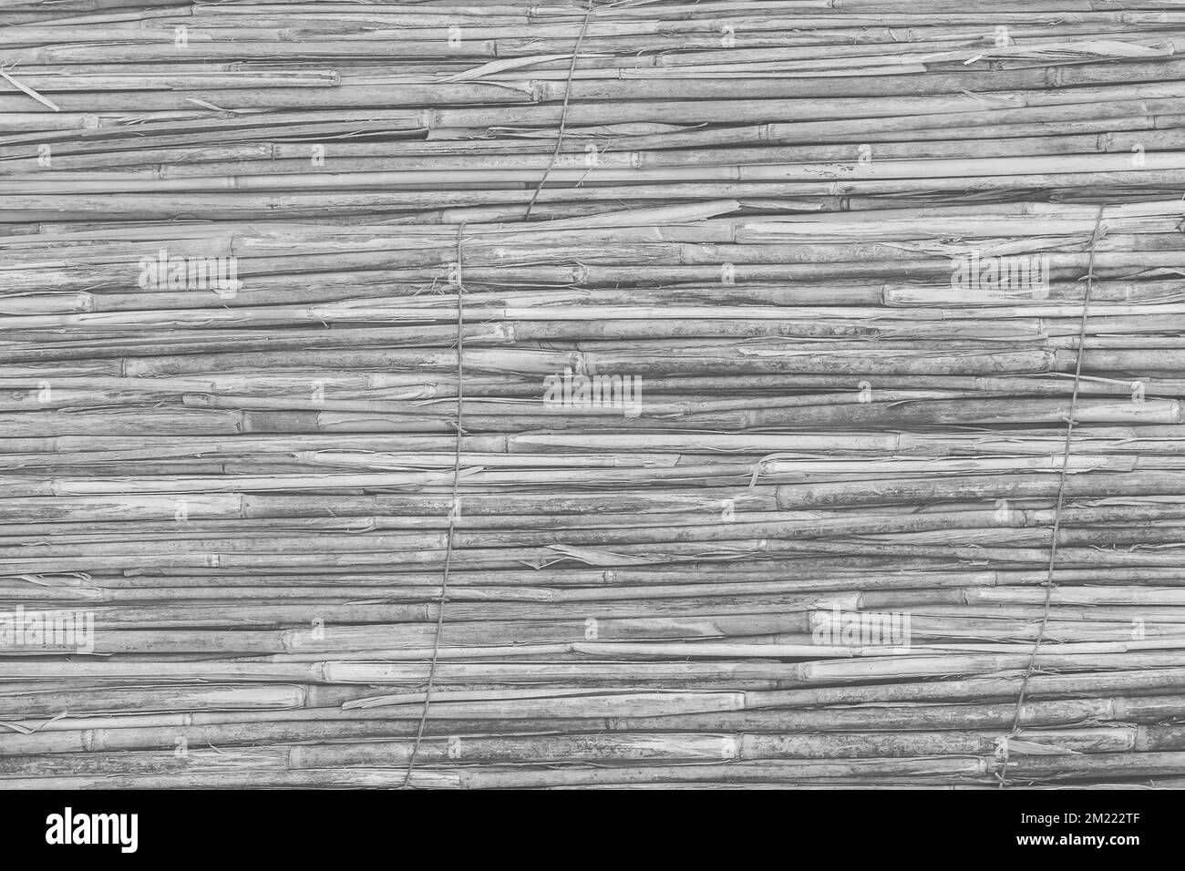 Light grey reed interior pattern bamboo handmade wall wicker texture ...