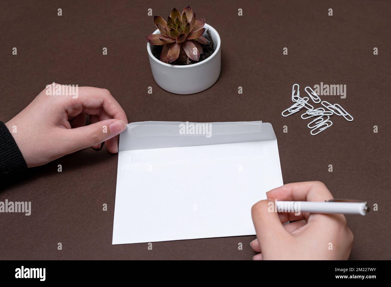 Woman Hand Holding Blank Notes Writing New Messege Updates Ideas. Lady ...