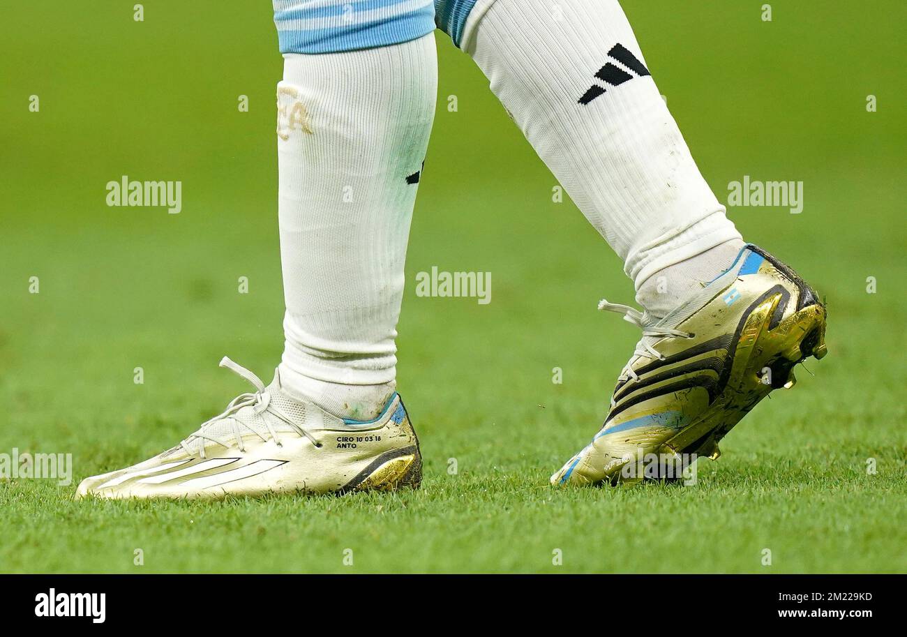 Lionel Messi 2022 World Cup Cleats