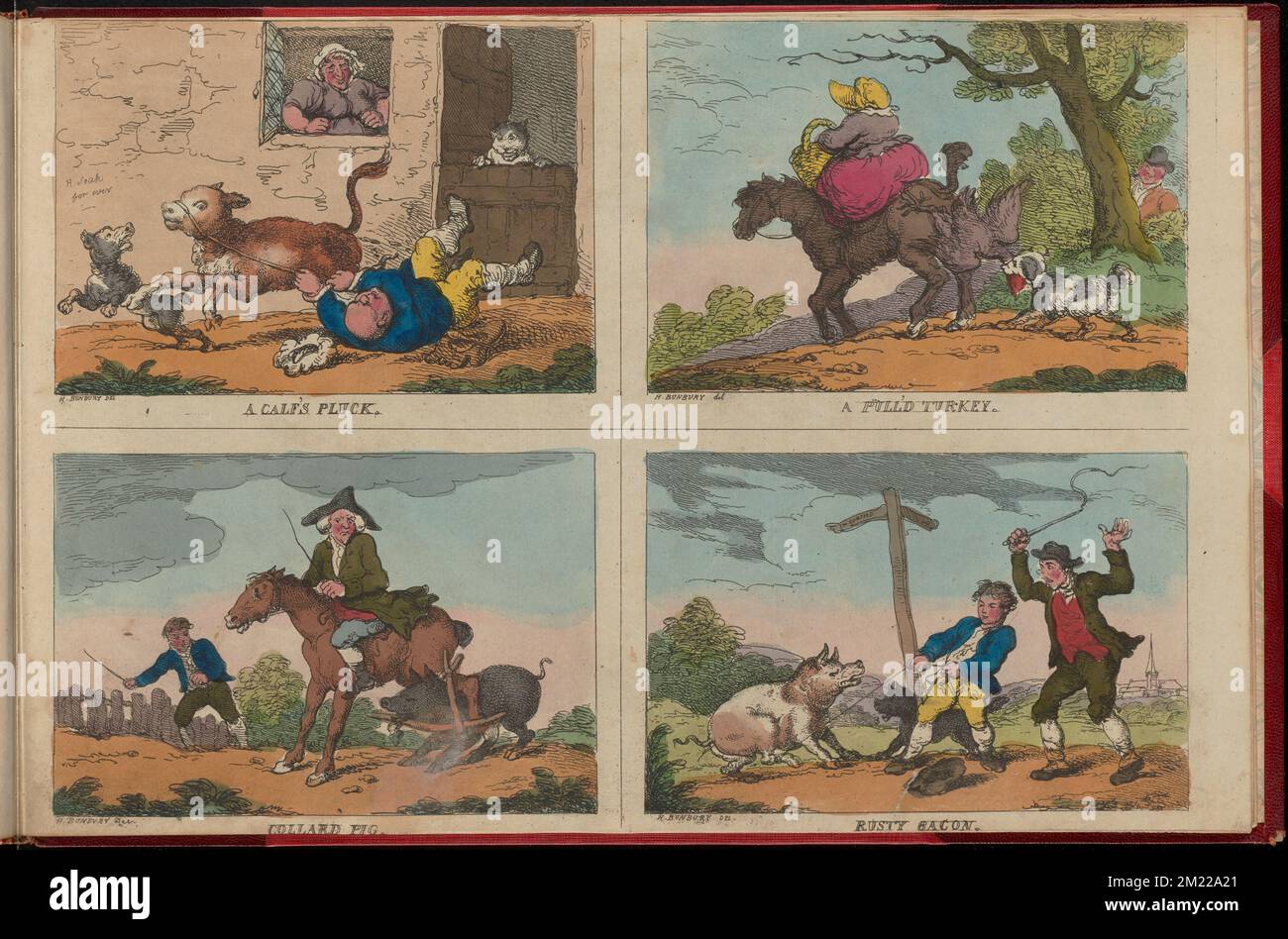 Calfs pluck hi-res stock photography and images - Alamy