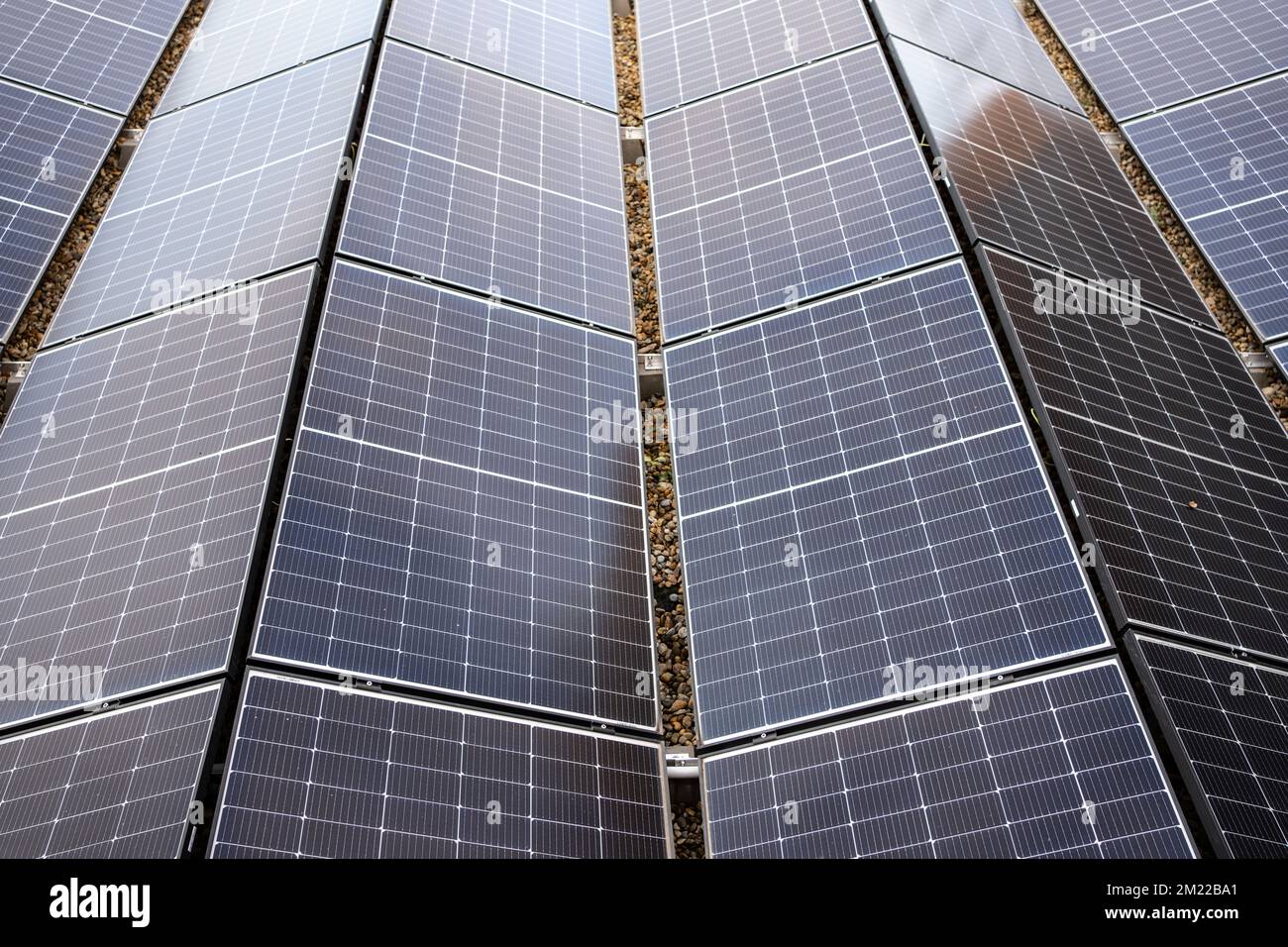 solar panels for alternative energy Stock Photo - Alamy