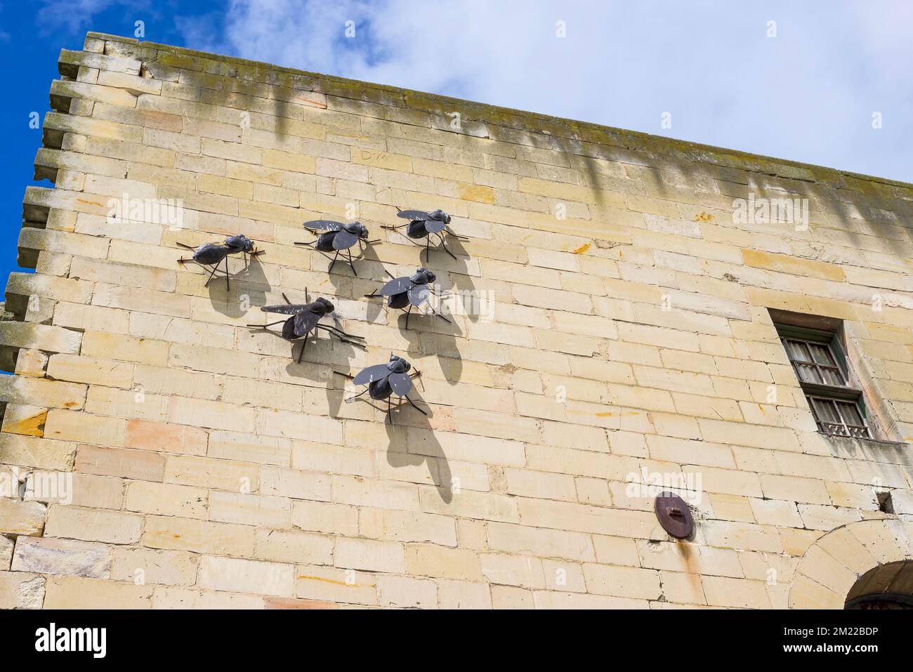The fly sculptures on the exterior of the Steampunk Museum in Oamaru ...