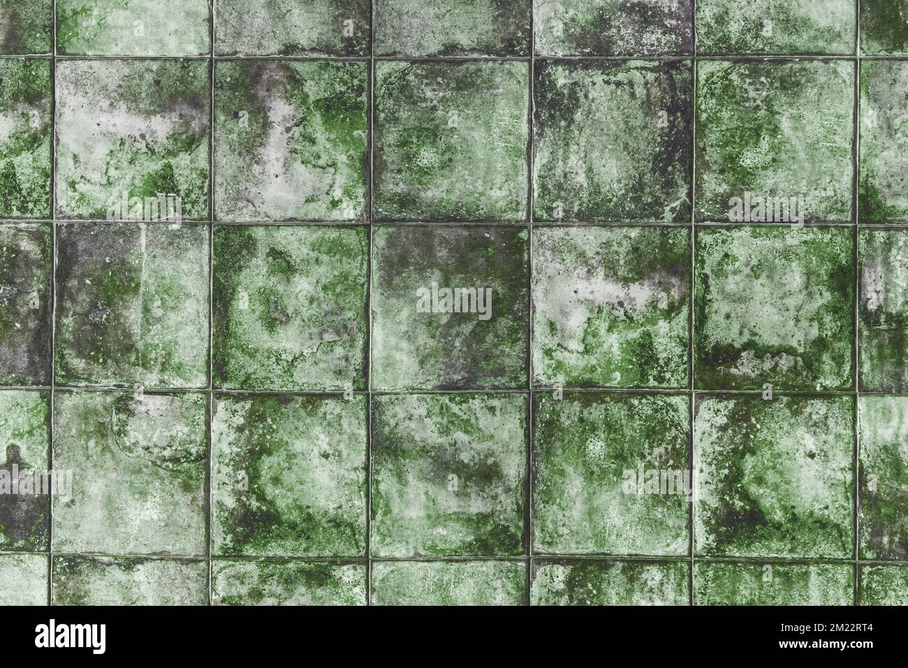 Mold texture tile fungus old green dirty background wall lichen grunge ...