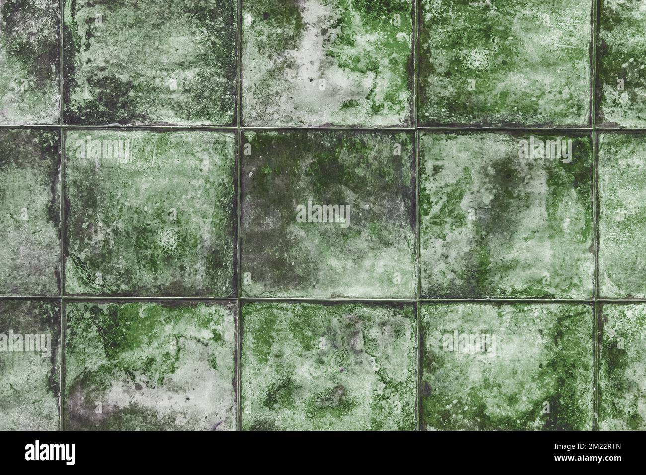 Mold texture tile fungus old green dirty background wall lichen grunge ...