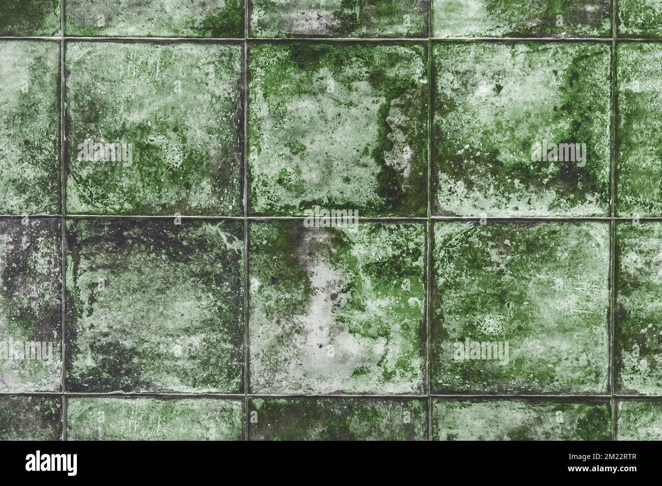 Mold texture tile fungus old green dirty background wall lichen grunge ...