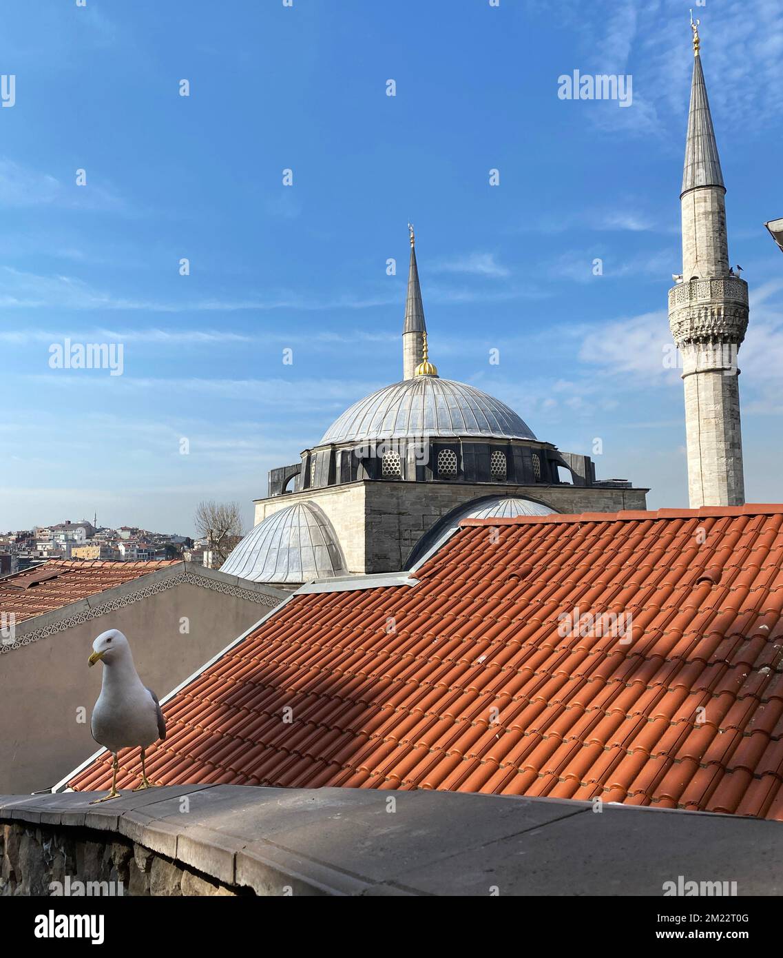 Mihrimah Sultan Mosque and Complex, located in Uskudar district of ...