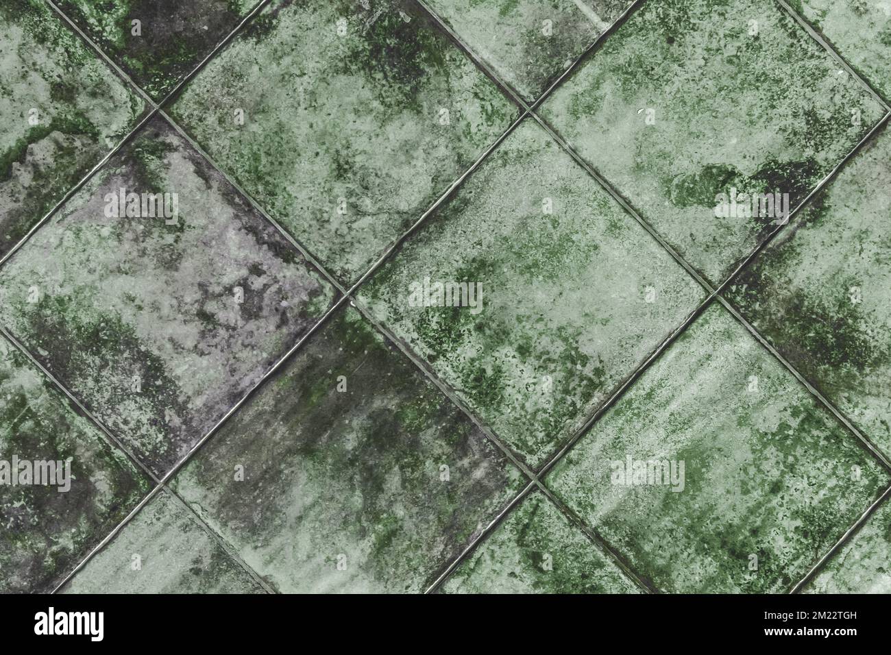 Mold texture tile fungus old green dirty background wall lichen grunge ...