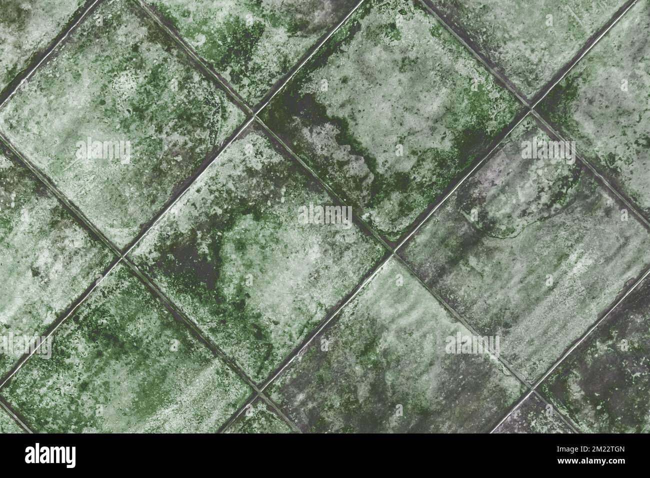 Mold texture tile fungus old green dirty background wall lichen grunge ...