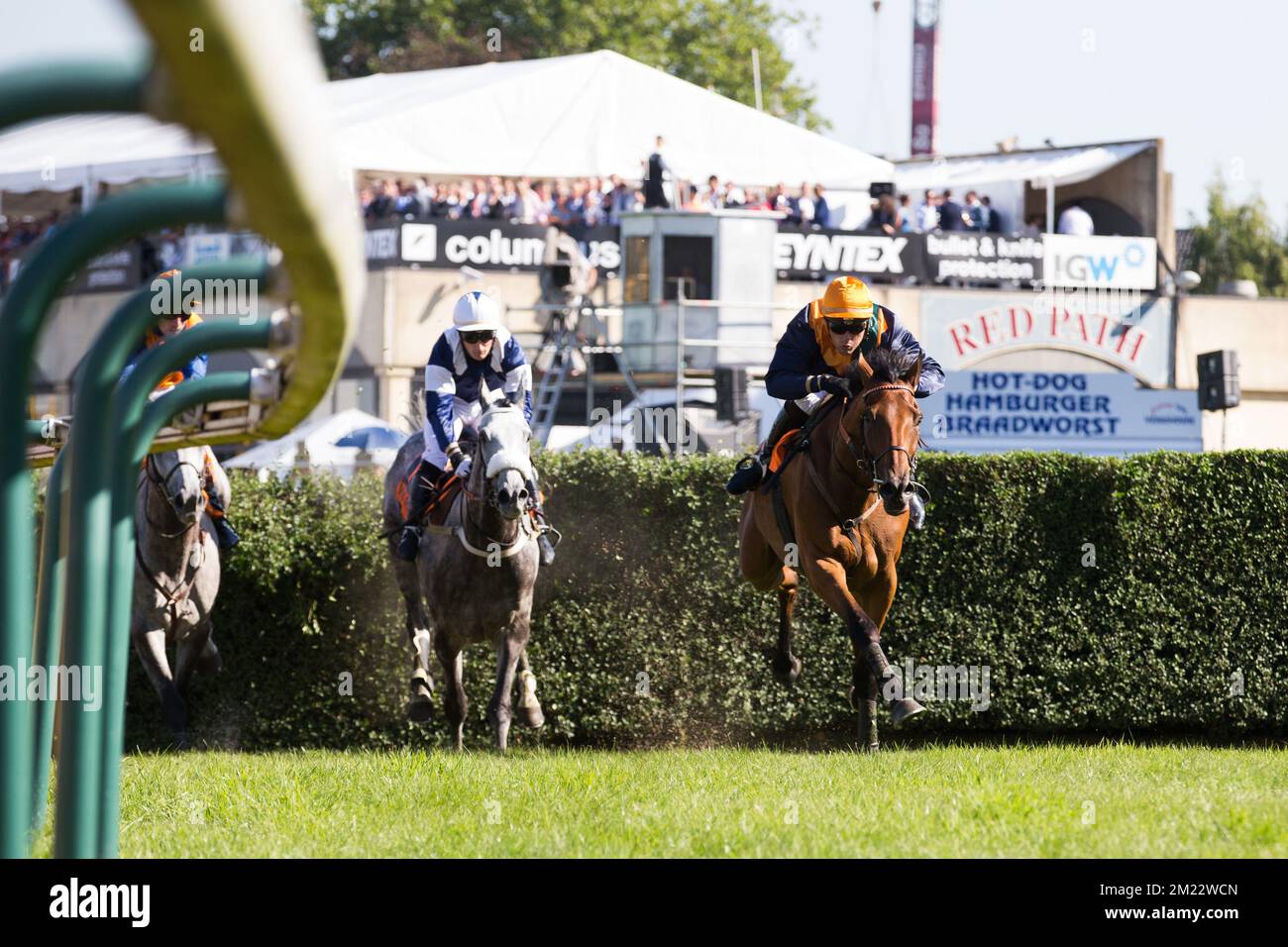 Waregem horse hi-res stock photography and images - Alamy