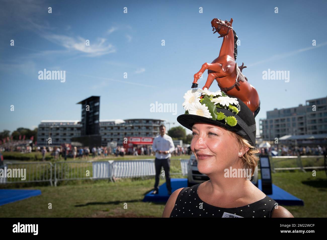 Waregem horse hi-res stock photography and images - Alamy