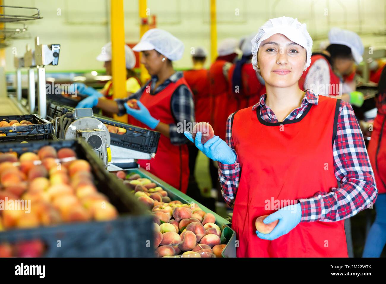 Portrait of woman with peaches in her hands next to the fruit sorting ...