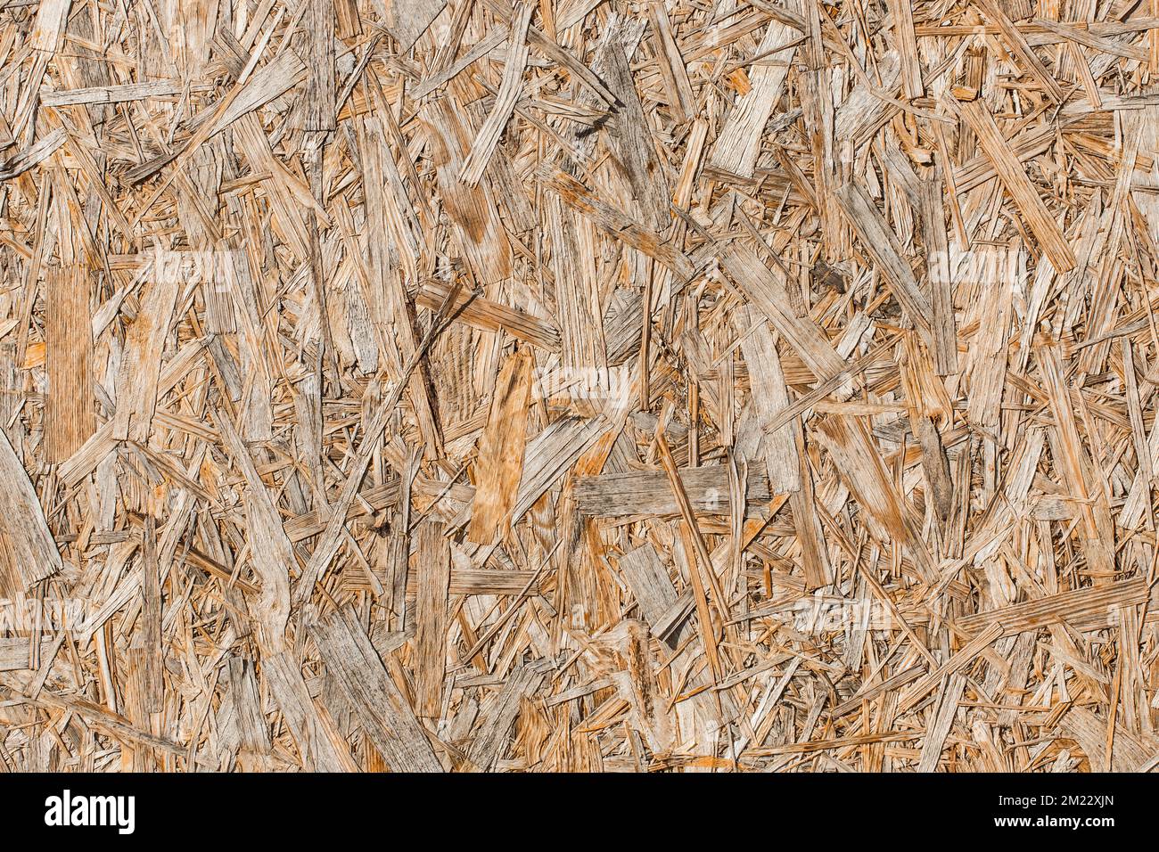 Chipboard light osb surface, pressed wood pattern texture background ...