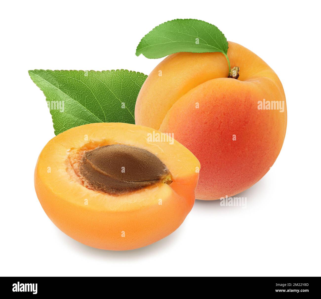 apricot fruit with half isolated on white background with full depth of ...