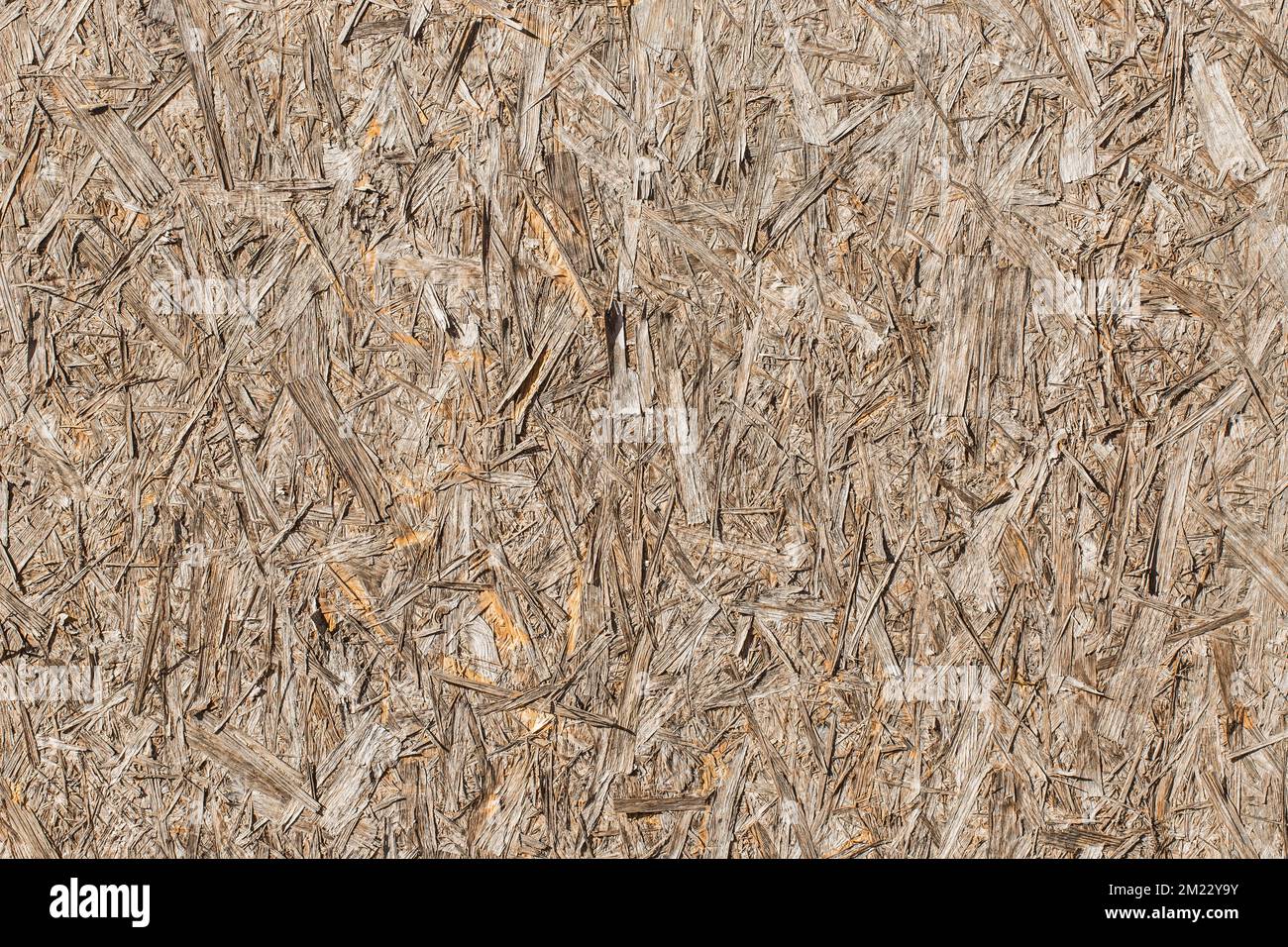 Chipboard light grey surface, pressed wood texture background Stock ...