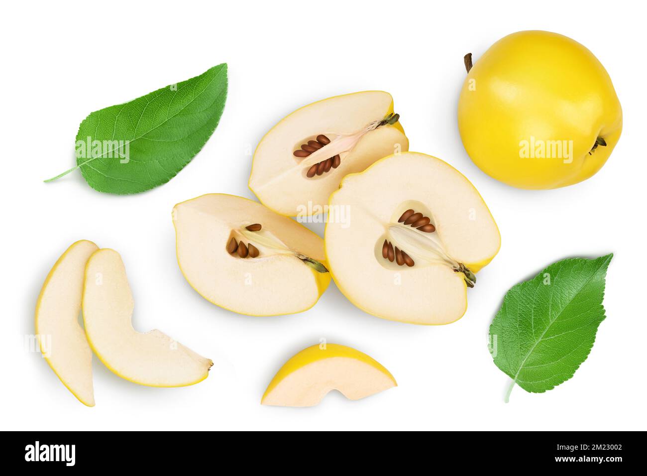 Fresh quince with half and slices isolated on the white background and ...
