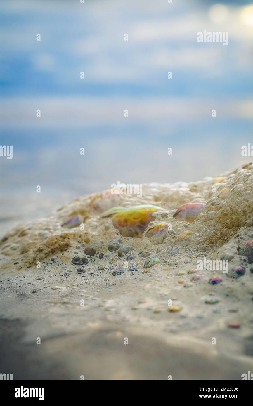 Sea foam on the beach Stock Photo - Alamy