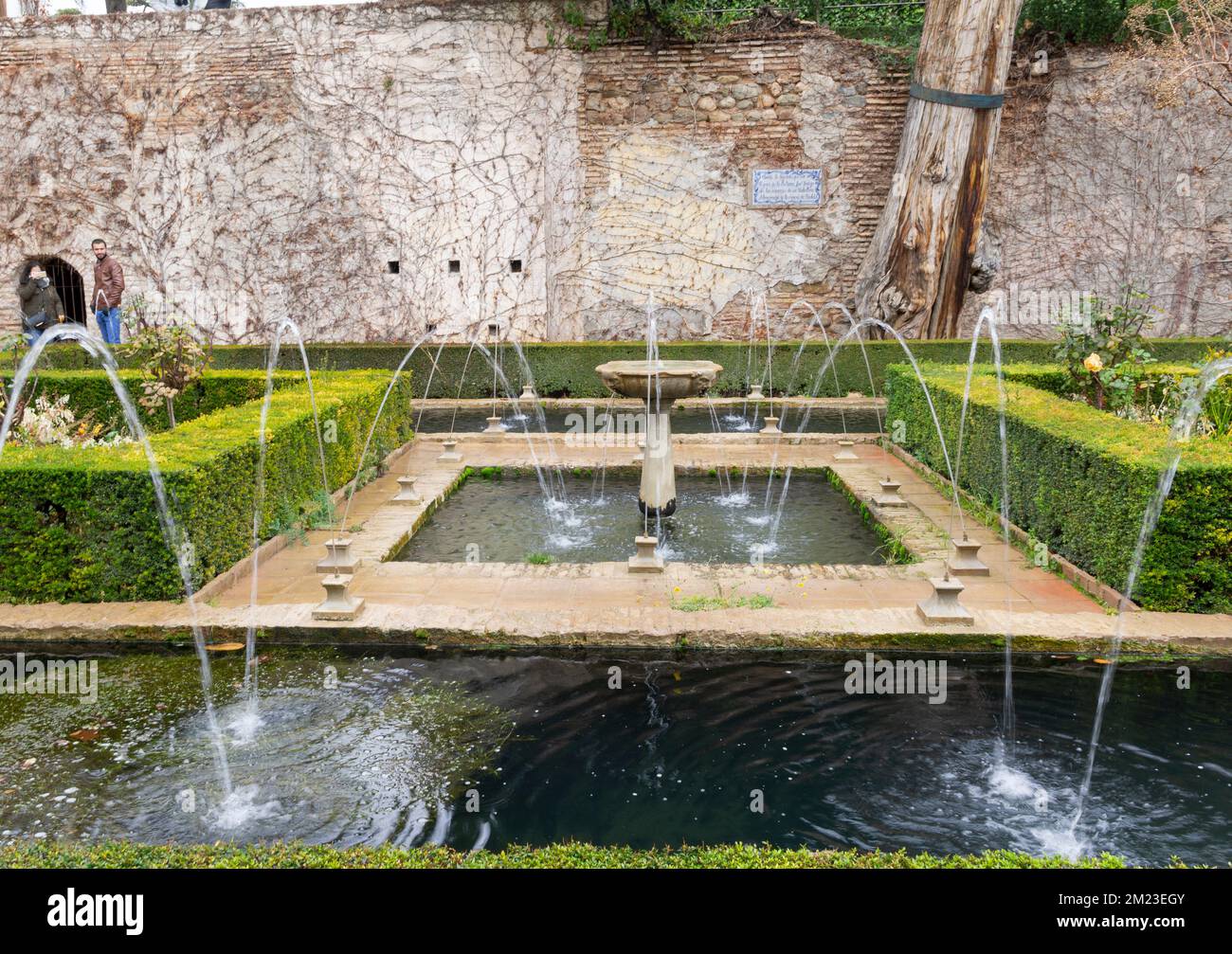 Cipres tree hi-res stock photography and images - Alamy